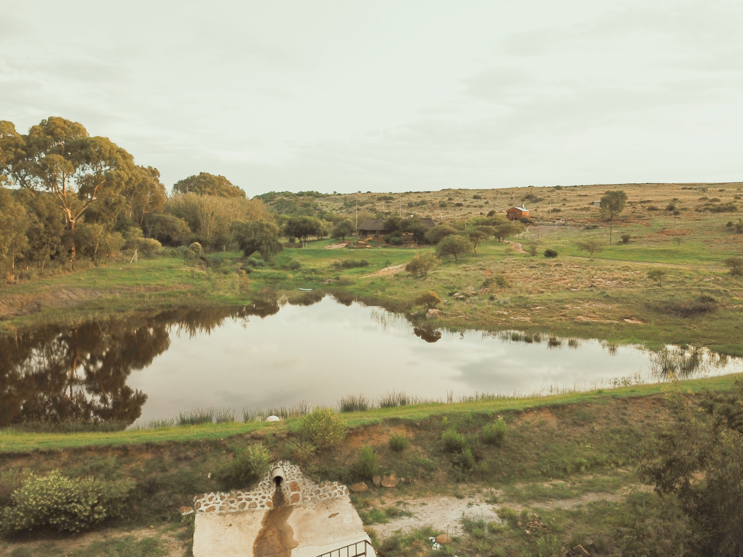 Water Farm Magaliesburg - Ayahuasca Foundation